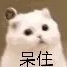韵儿星人 