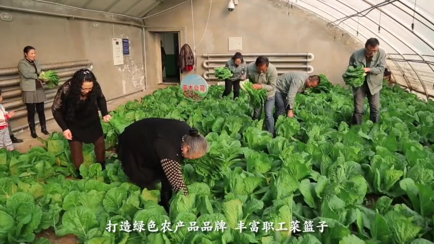 生态环境管护公司苗木公司宣传片