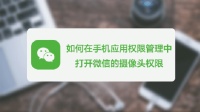 如何在手机应用权限管理中打开微信的摄像头权限?