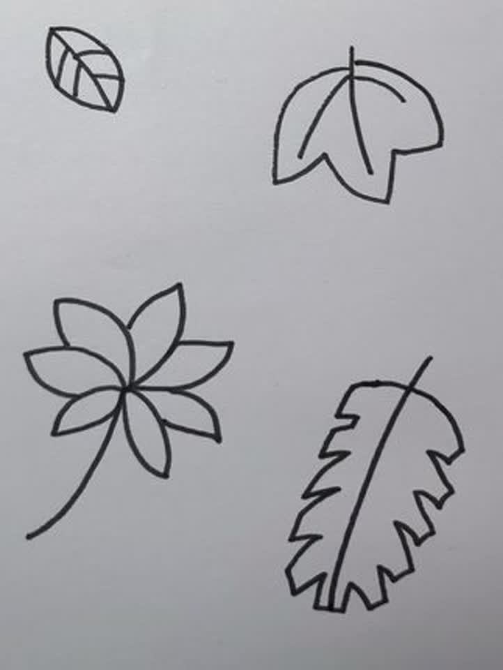 学习画不同形状的叶子一学就会系列儿童简笔画简单易学绘画教程零.