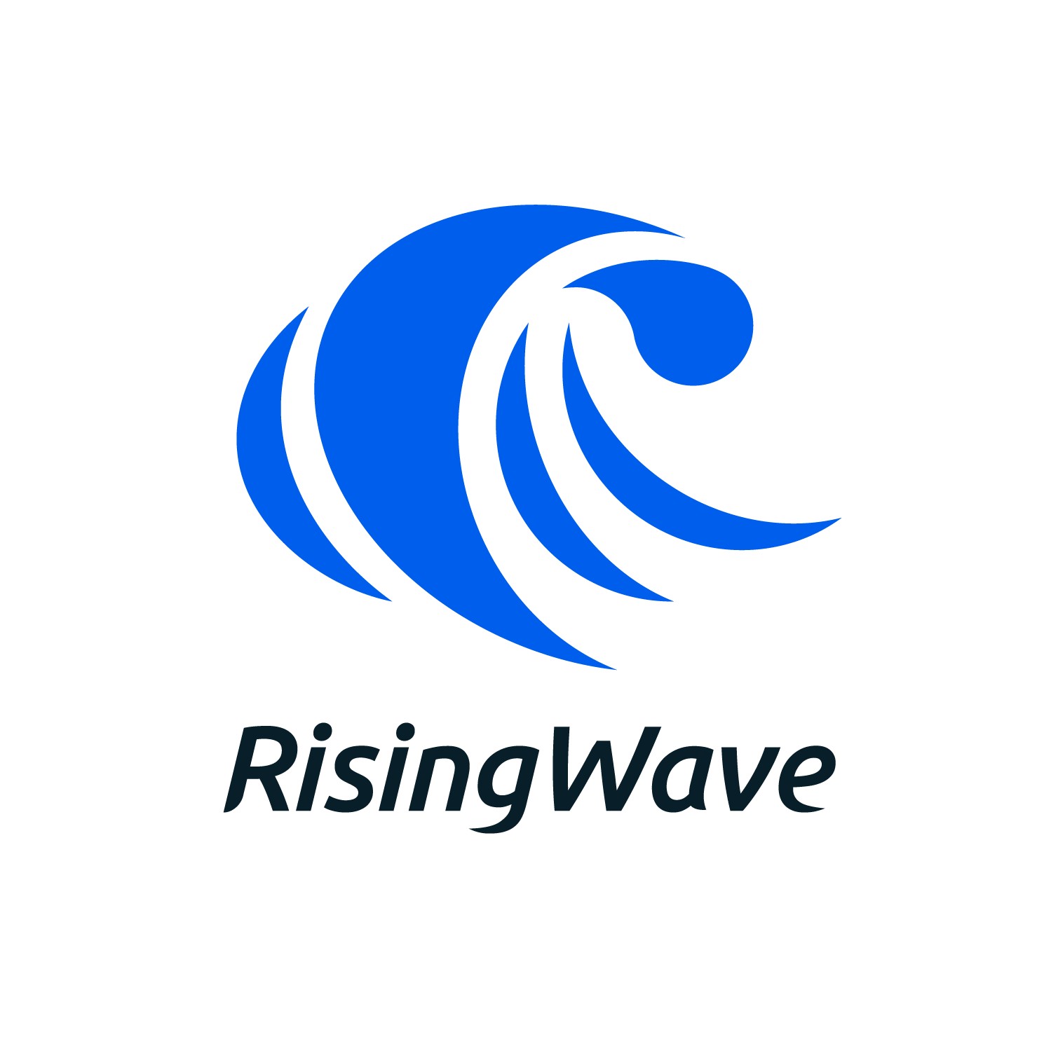 RisingWave中文开源社区 