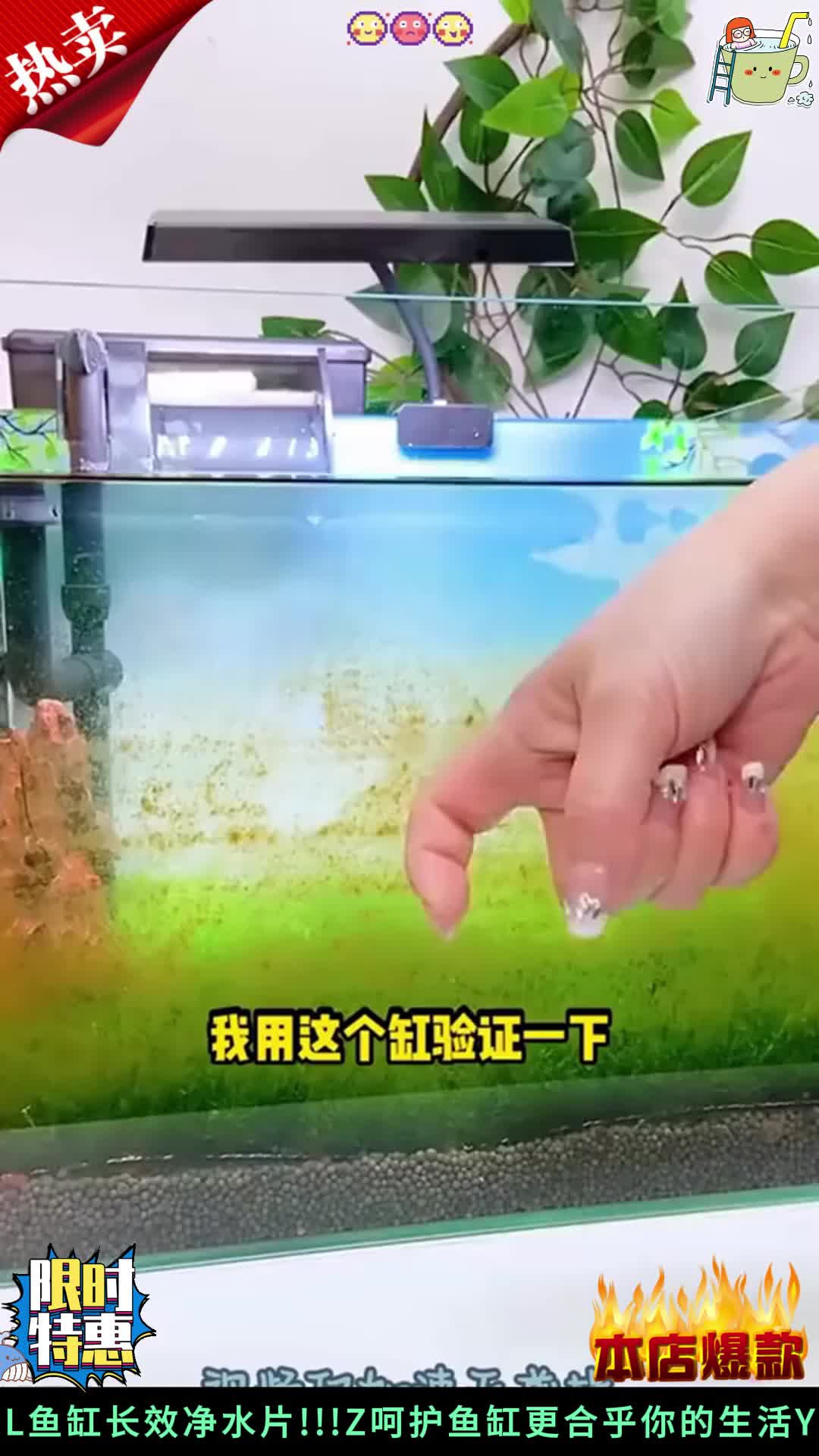 ...鱼缸水浑发白藻类滋生缸壁怎么办?赶紧试试这款鱼缸净水片,很好的...