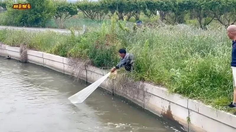 户外撒网捕鱼:接上个视频撒网捕鱼还是流水口鱼多网网有鱼