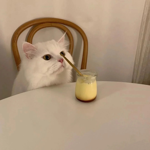 JinJinJinAAa 