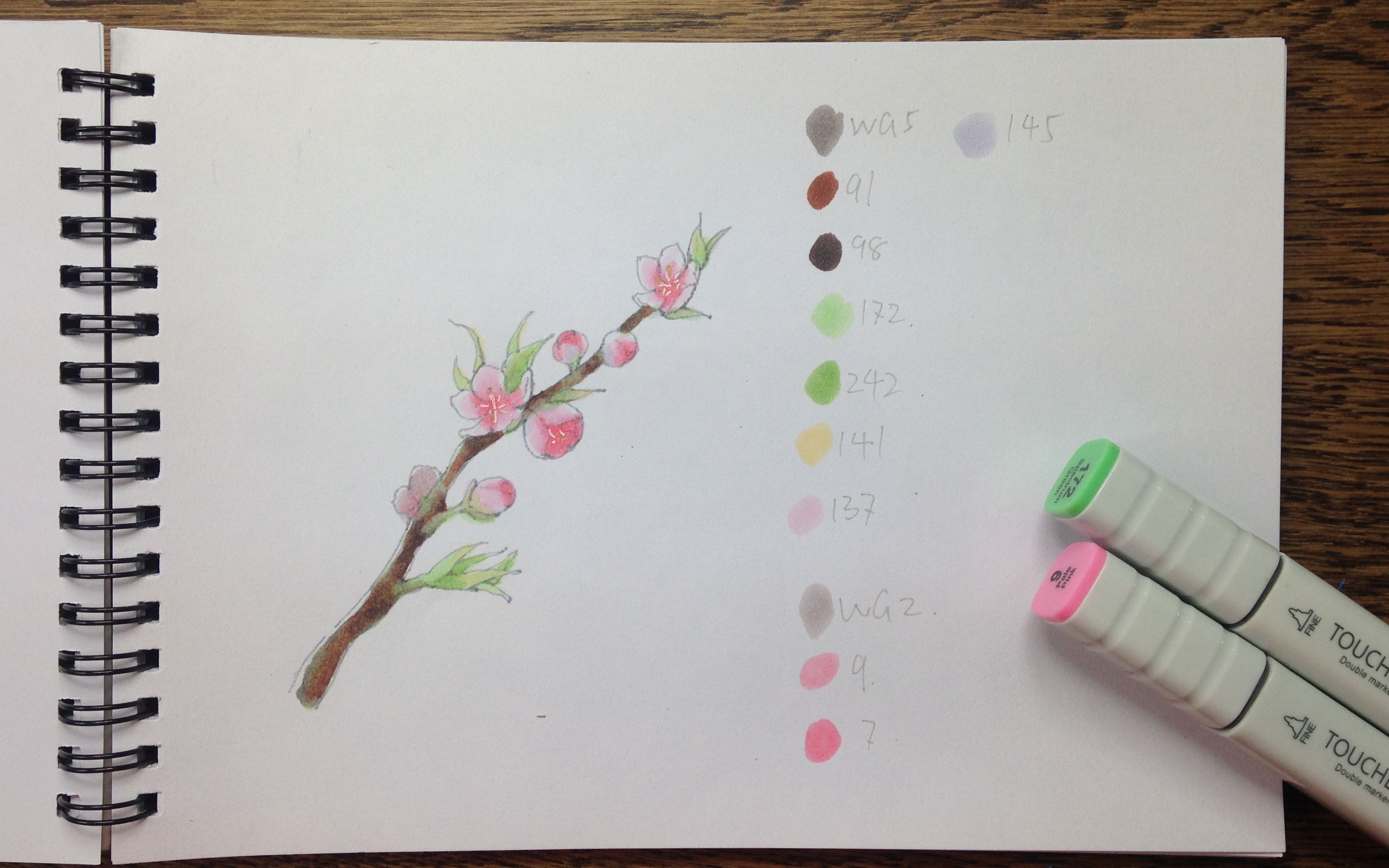 【马克笔教程】花卉系列_五分钟学会画桃花_桃花枝的国T画法_4倍速