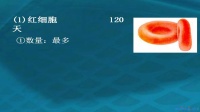 房山 首师大附属房山中学 刘榴 七年级生物 《人体内的物质运输》第一...