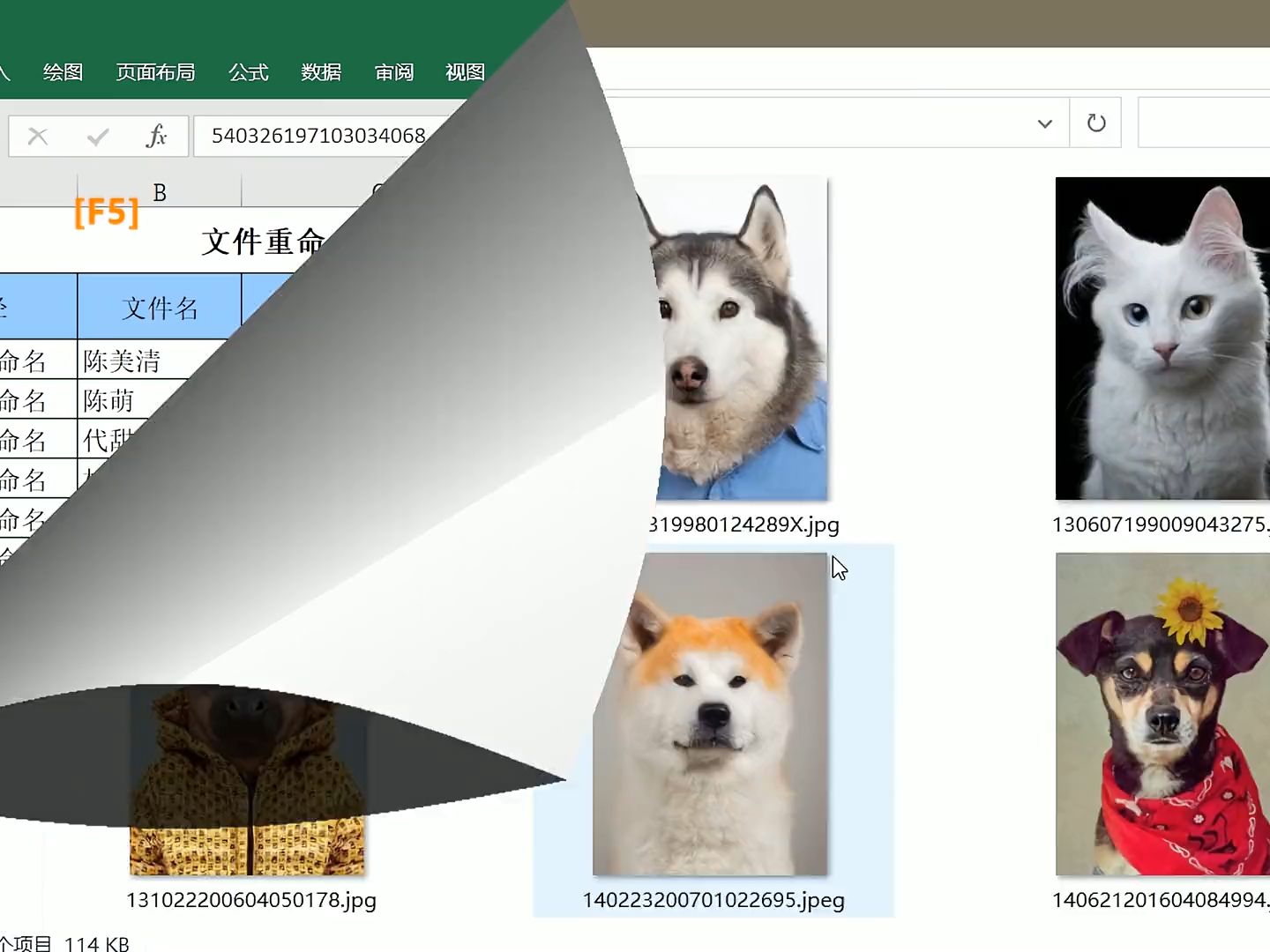 ##excel技巧 批量重命名照片#方方格子