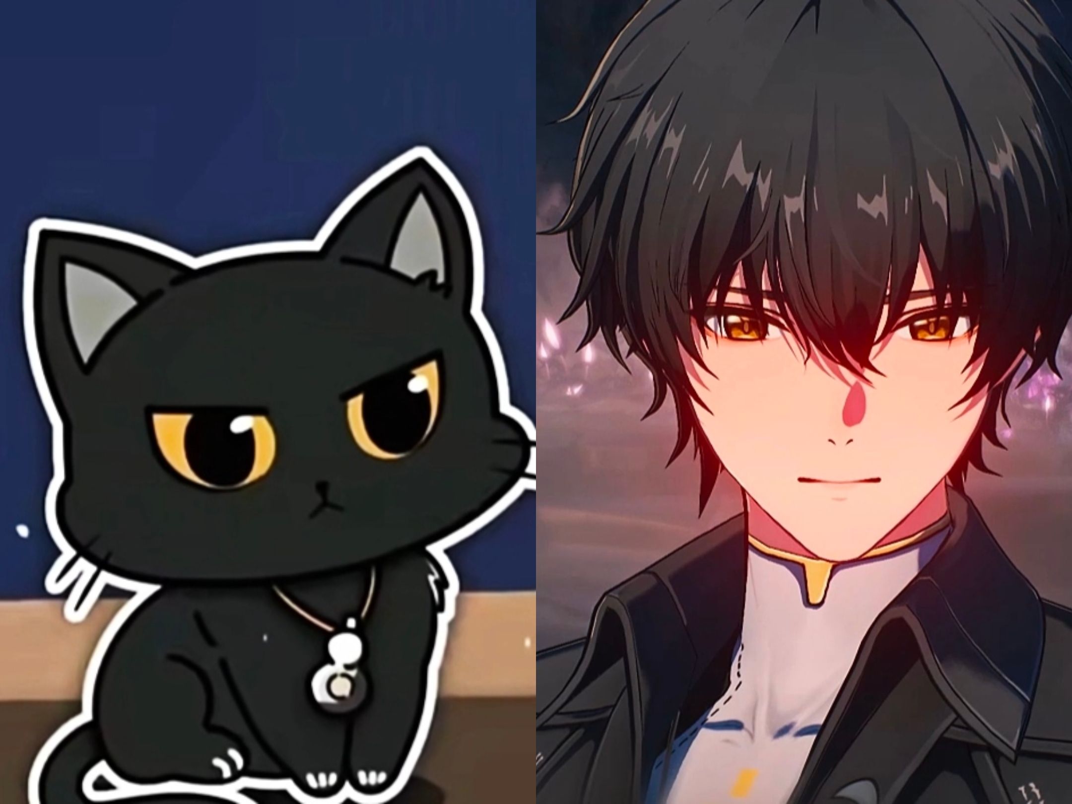 主角是有官方猫塑的!特别特别萌的猫猫ߐ�_网络游戏热门视频