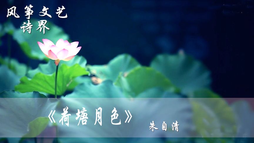 经典散文诗歌朱自清《荷塘月色》配乐朗读,文学