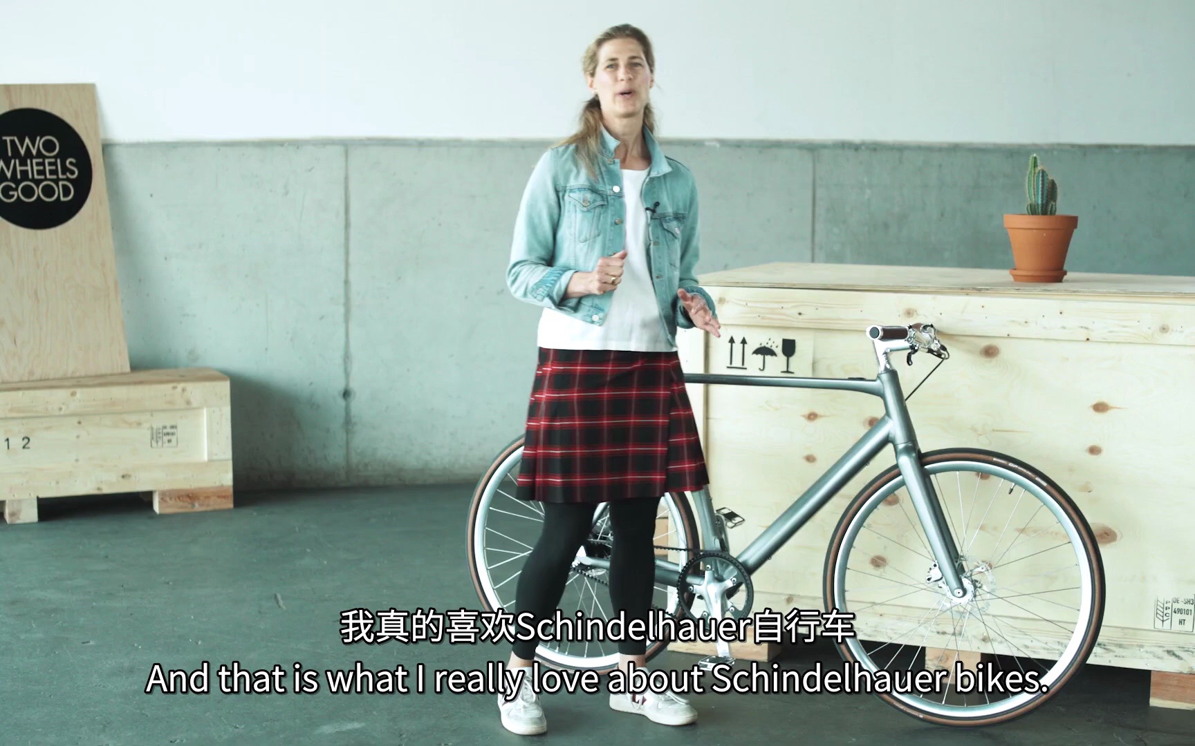 新德豪尔schindelhauer Arthur测评 - 经典E-Bike or 城市火箭