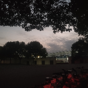 你不是猪扒皮 