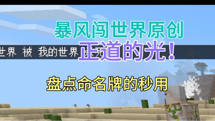 我的世界:盘点命名牌的秒用! 啊～正道的光～