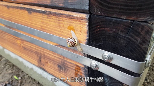 国外发明防蜗牛神器,小电压电流刺激蜗牛,原理是什么?