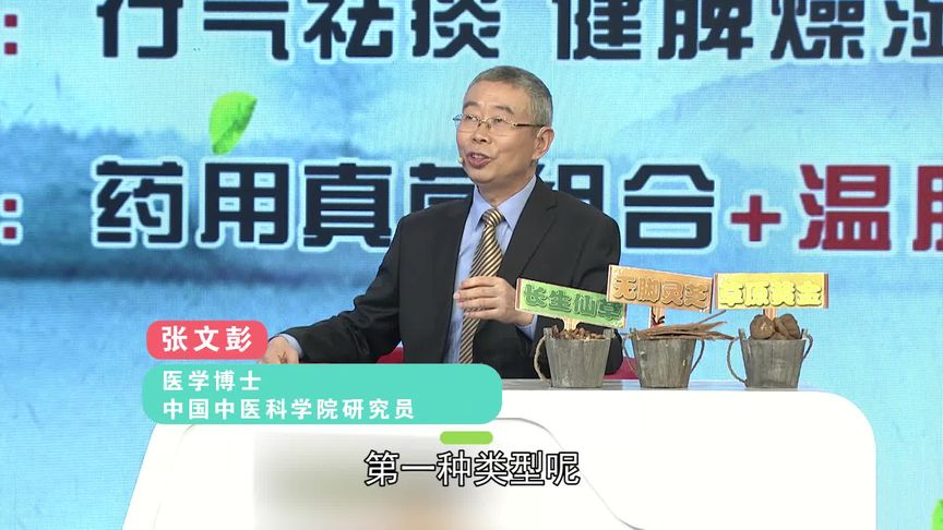 中国中医科学院张文彭研究员:药用真菌组合治疗两种证型肺结节