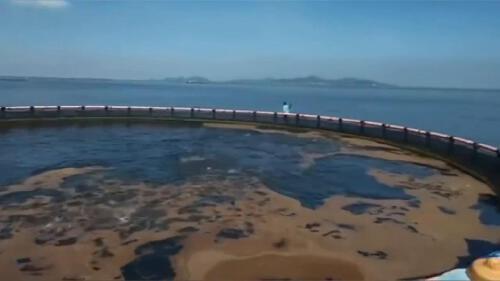 海上养殖VS鱼塘养殖对比!