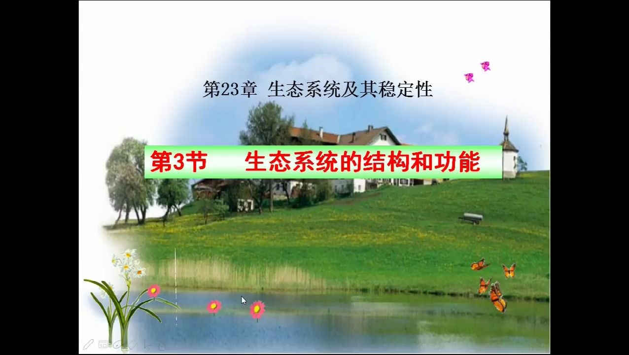 北师大版八下23.3 生态系统的结构和功能(总2课时的内容,有点儿长哦)