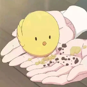 等到风雨停歇 