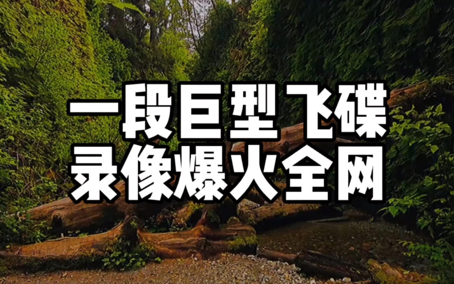 巨型飞碟完整版视频,不明飞行物贴地面飞行