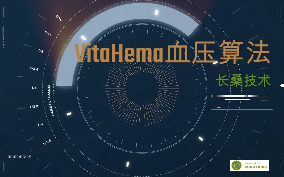 血压的形成机制