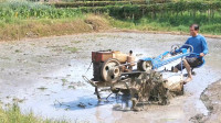农历5月,南方地区开始种植水稻了,客家大叔开着拖拉机在打田