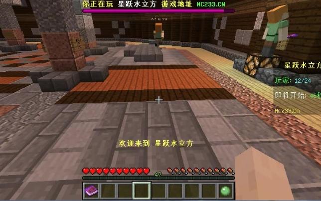 小周:我的世界小游戏游玩