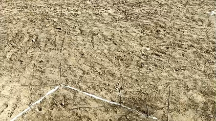 雨水花园挡墙基础放线,下一步立模浇筑垫层