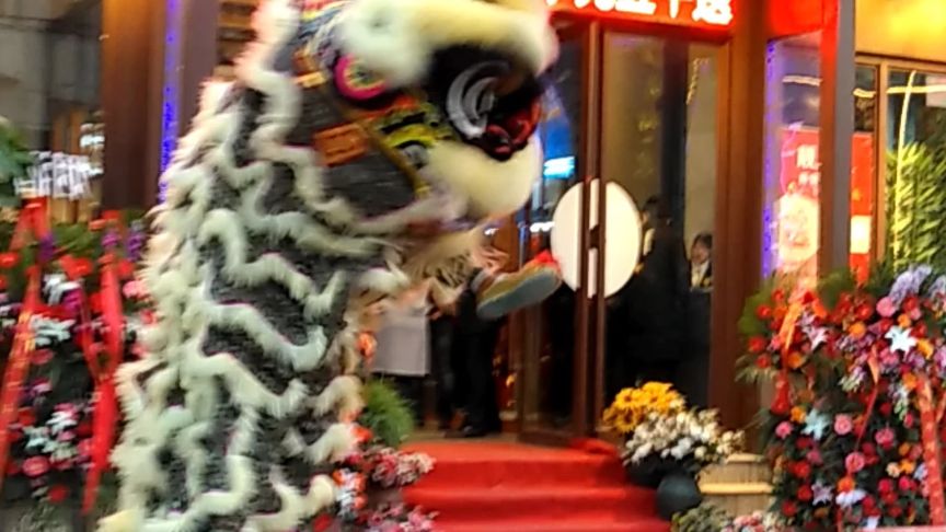 中国传统文化舞狮名不虚传