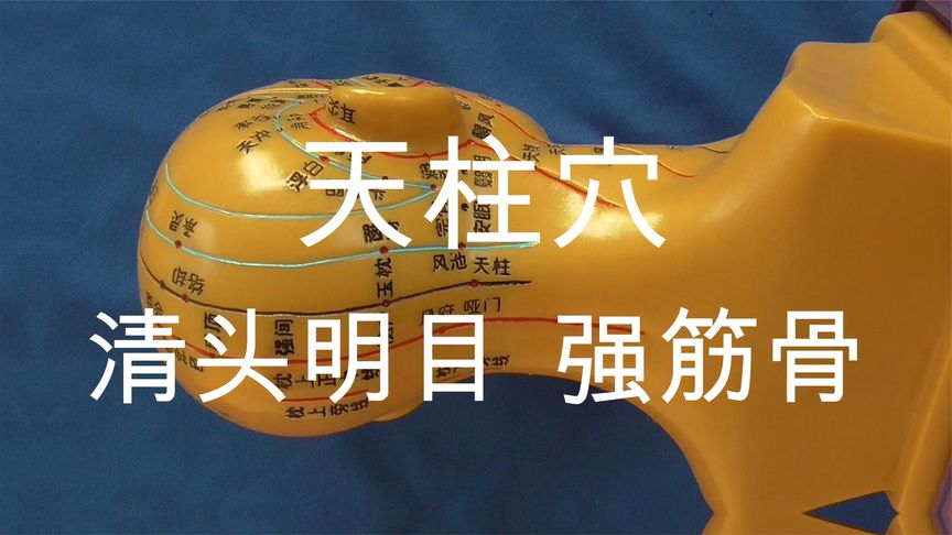 天柱穴主治:足不任身体,肩背痛欲折。目瞑视,头旋脑痛,头风