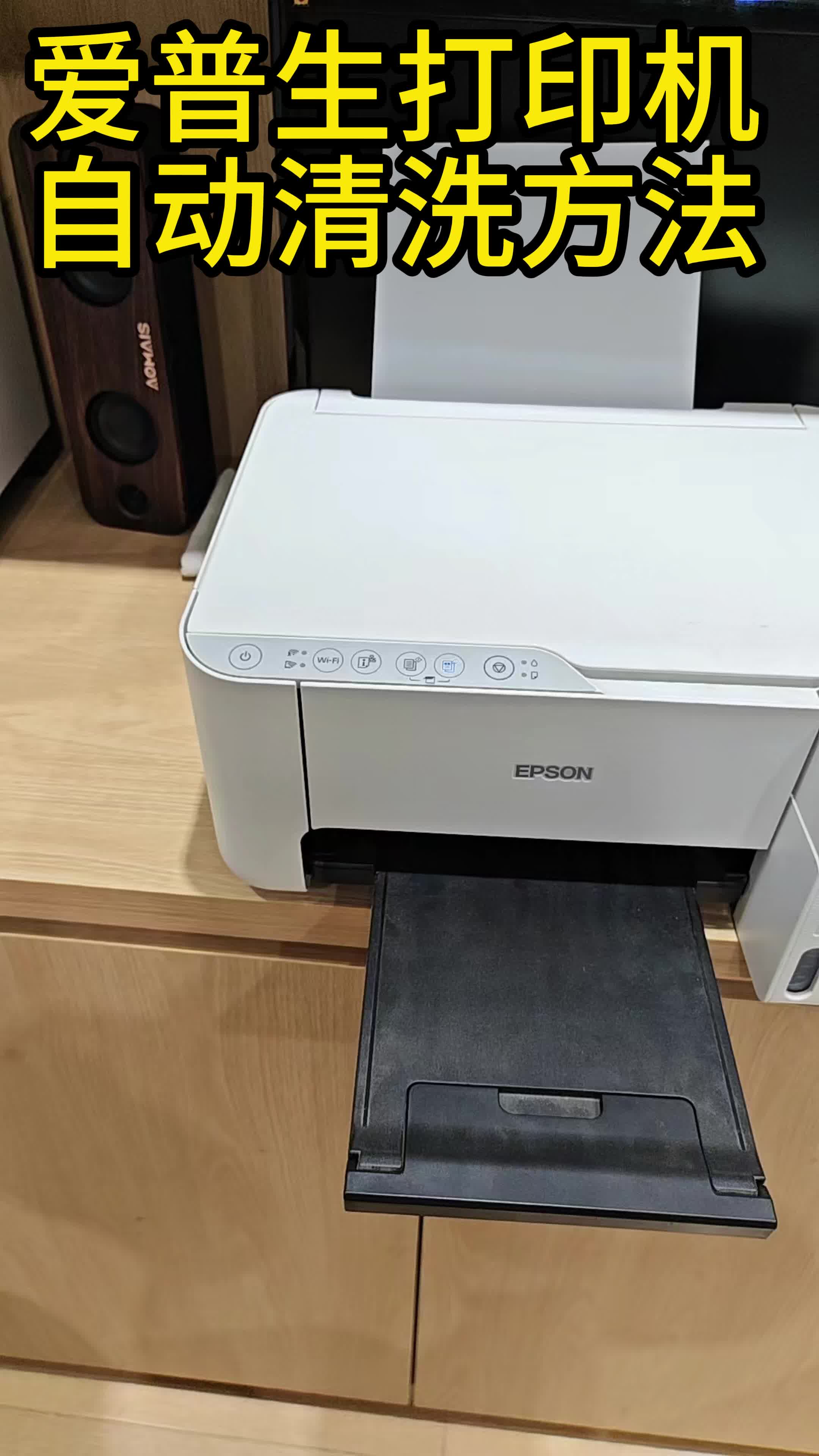 爱普生打印机执行自动清洗方法