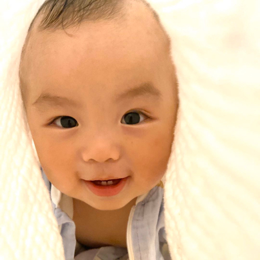 九九八十一次元老头 