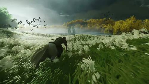 风景模拟器!《对马岛之魂:导演剪辑版》已在Steam上线,好玩的游戏在...