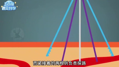 口器结构有何特殊?叮咬机制与皮肤反应揭秘