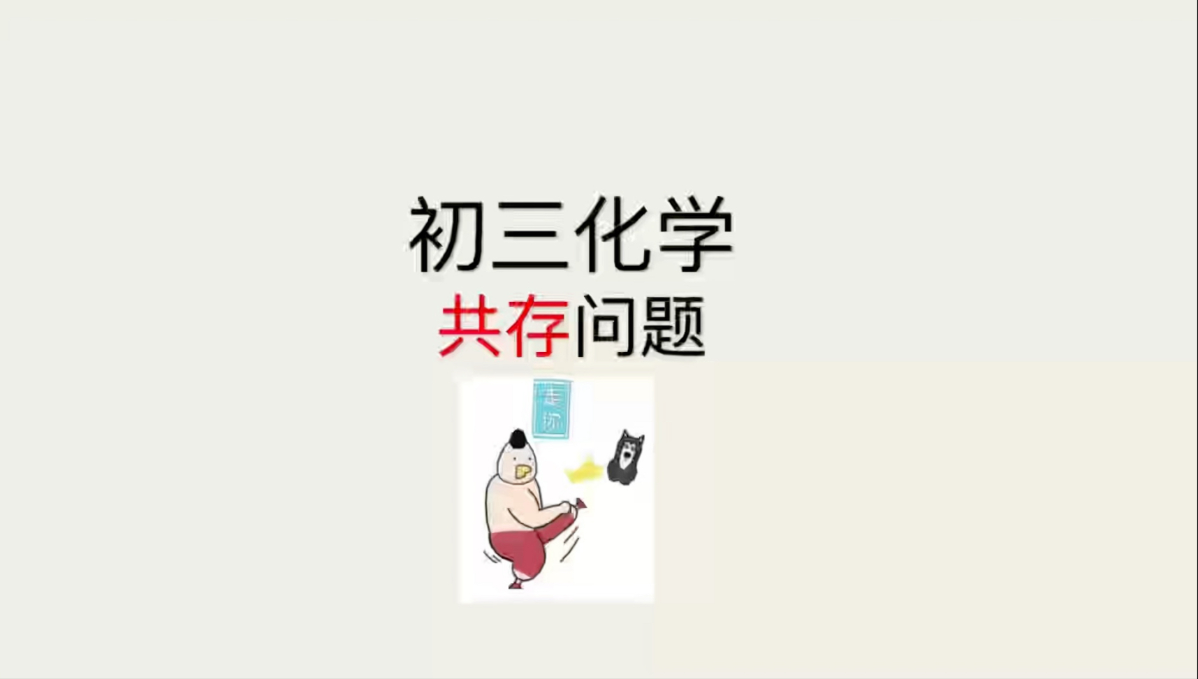 初三化学-酸碱盐共存问题