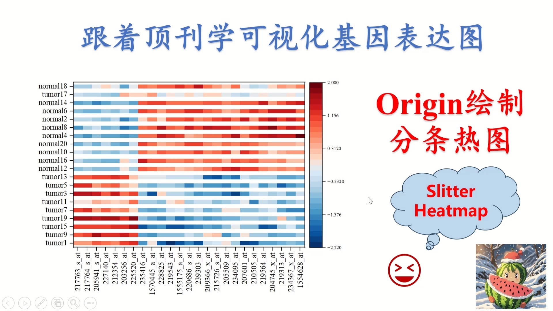 Origin绘制分条热图-跟着顶刊学可视化基因表达图