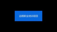 3.1.5.1 统计报表制度《电子商务师(三级)》