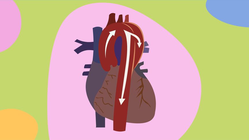 心源性猝死前兆是什么?该怎么急救合适呢?专业医生科普