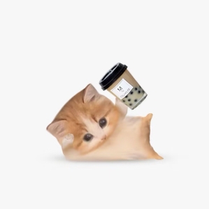 小小增嘟嘟 