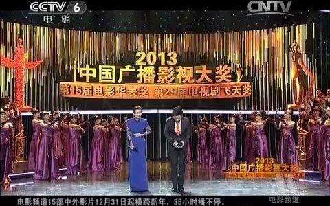 【精品】《中国广播影视大奖 第15届电影华表奖暨第29届电视剧飞天...