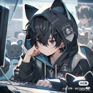 爱玩数码的土豆 