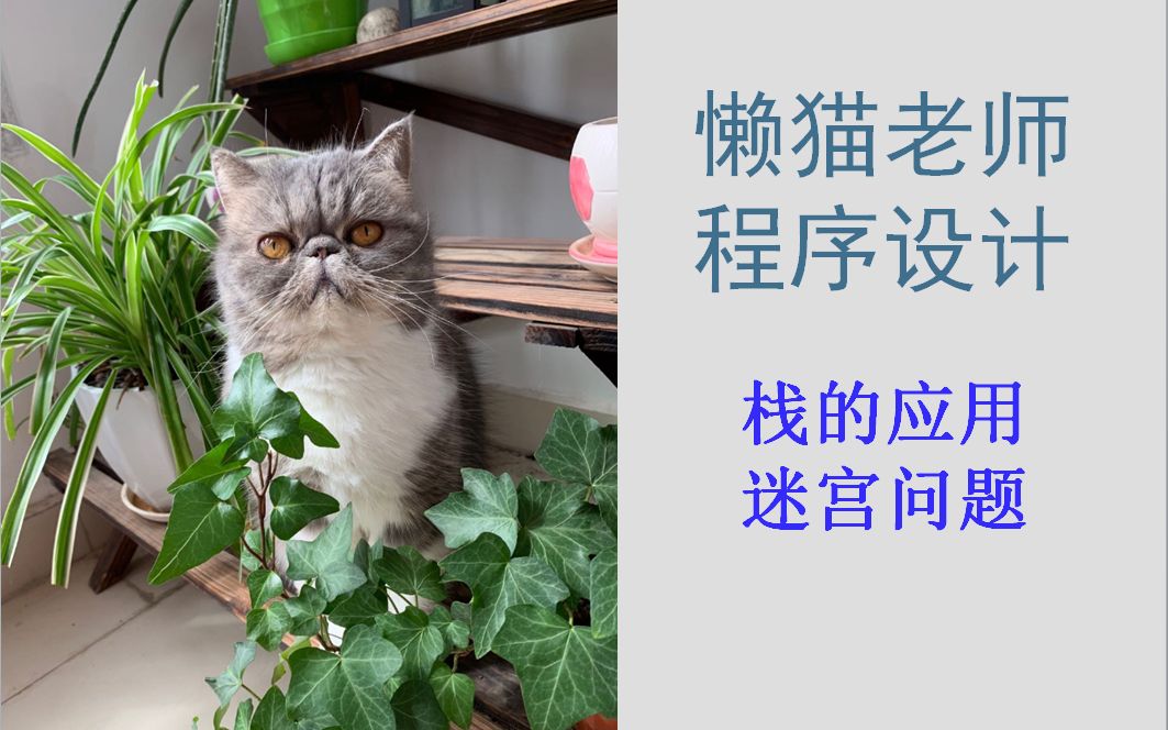 懒猫老师-数据结构-(8)栈的应用:迷宫问题(DFS,非递归)