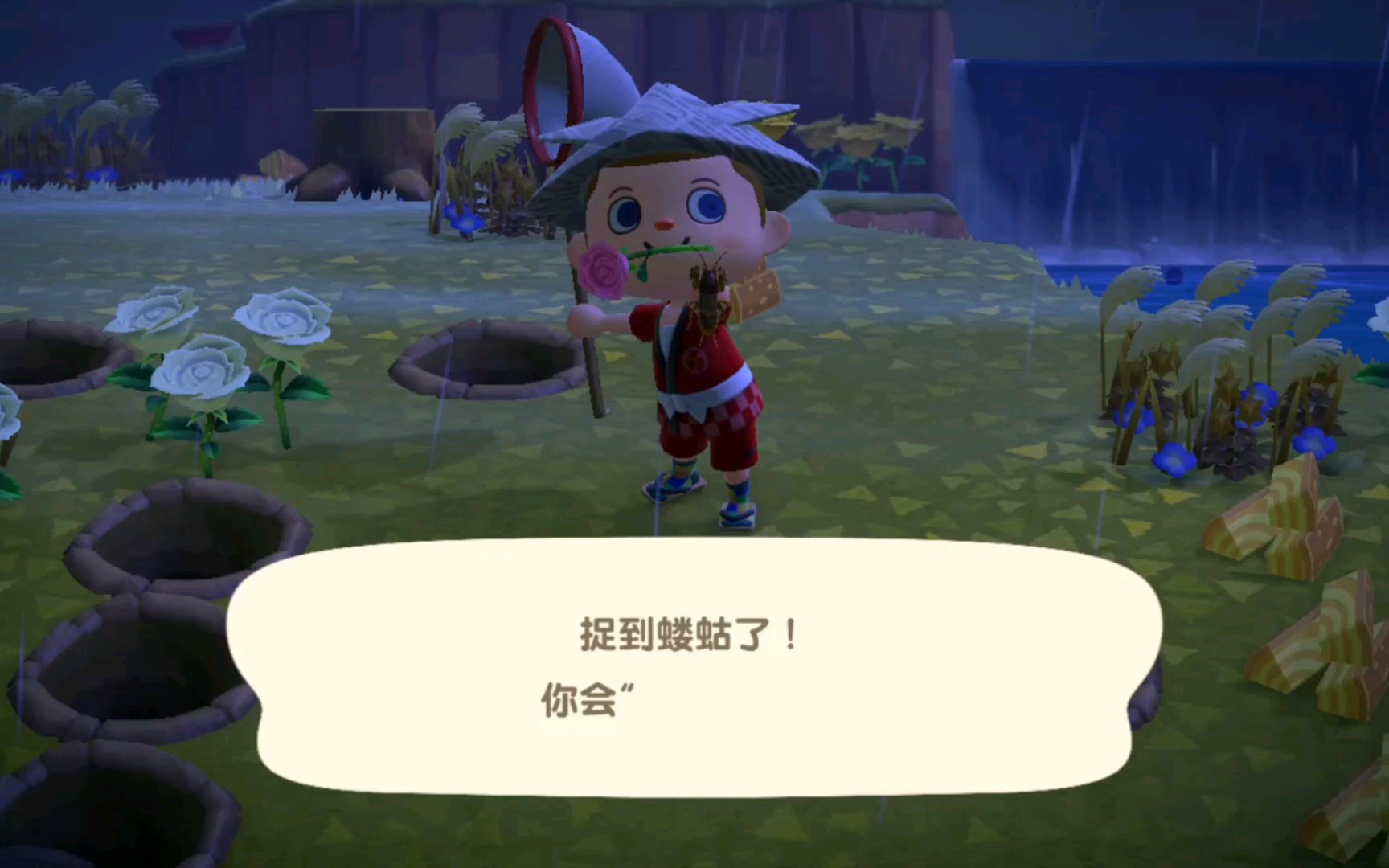 【动森】猛男捕到蝼蛄