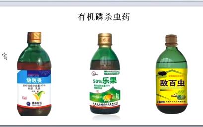 有机磷农药中毒的概述、特性、病因与发病机制