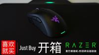 「开箱」1999 买灯送鼠标和鼠标垫 —— Razer雷蛇 曼巴眼镜蛇超极版...