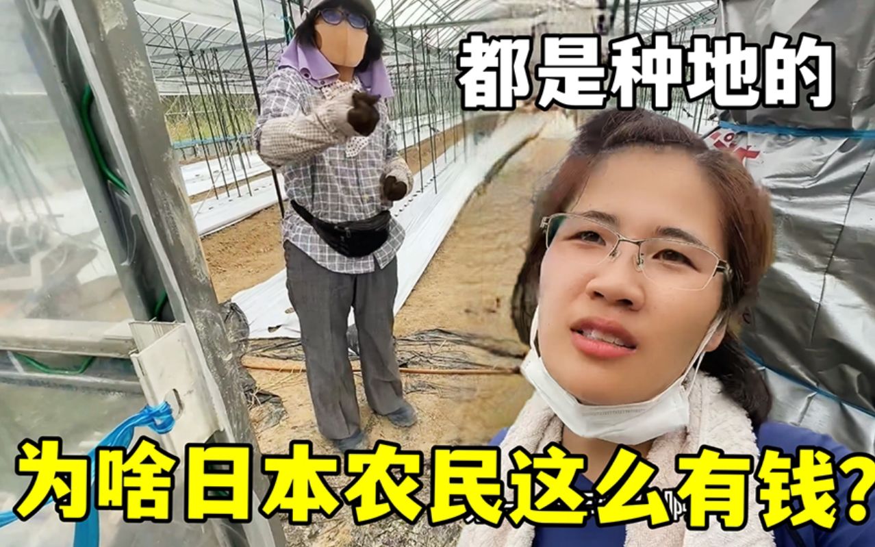 在日本农村种地,比城市收入还高?日本农民为啥都这么有钱?