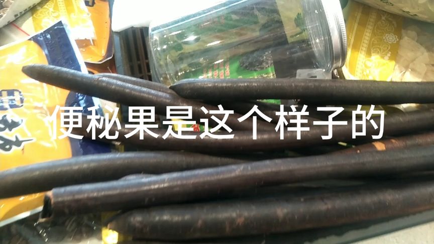 名字便秘果,长相不像果