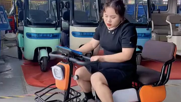 飞鸽老年代步四轮电动车