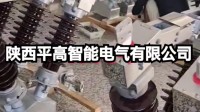 带熔断器的真空负荷开关-熔断器组合电器(以下简称组合电器)FZRN25...