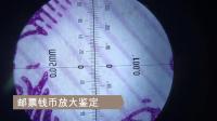 君晓天云拜斯特台式放大镜100倍带灯led读数带刻度显微镜60倍光学...