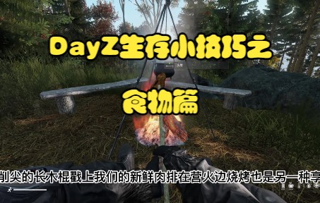 DayZ生存小技巧:食物篇