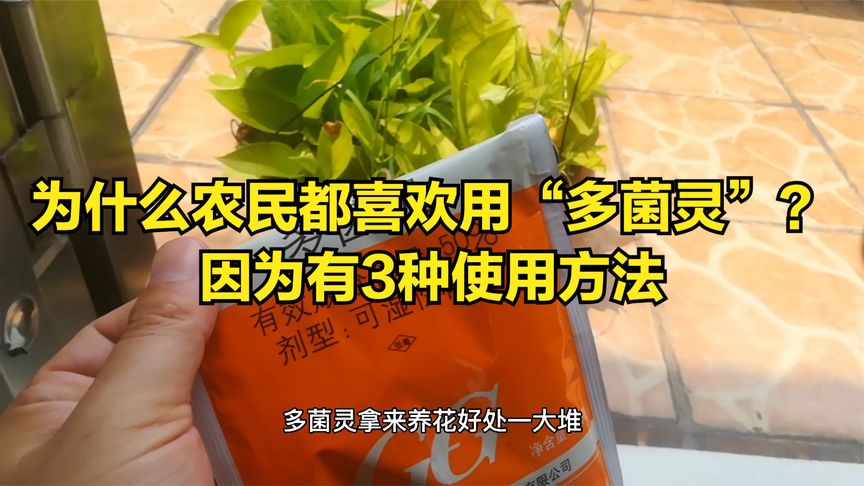 多菌灵的“3种”正确使用方法,你知道吗?用错了就晚了